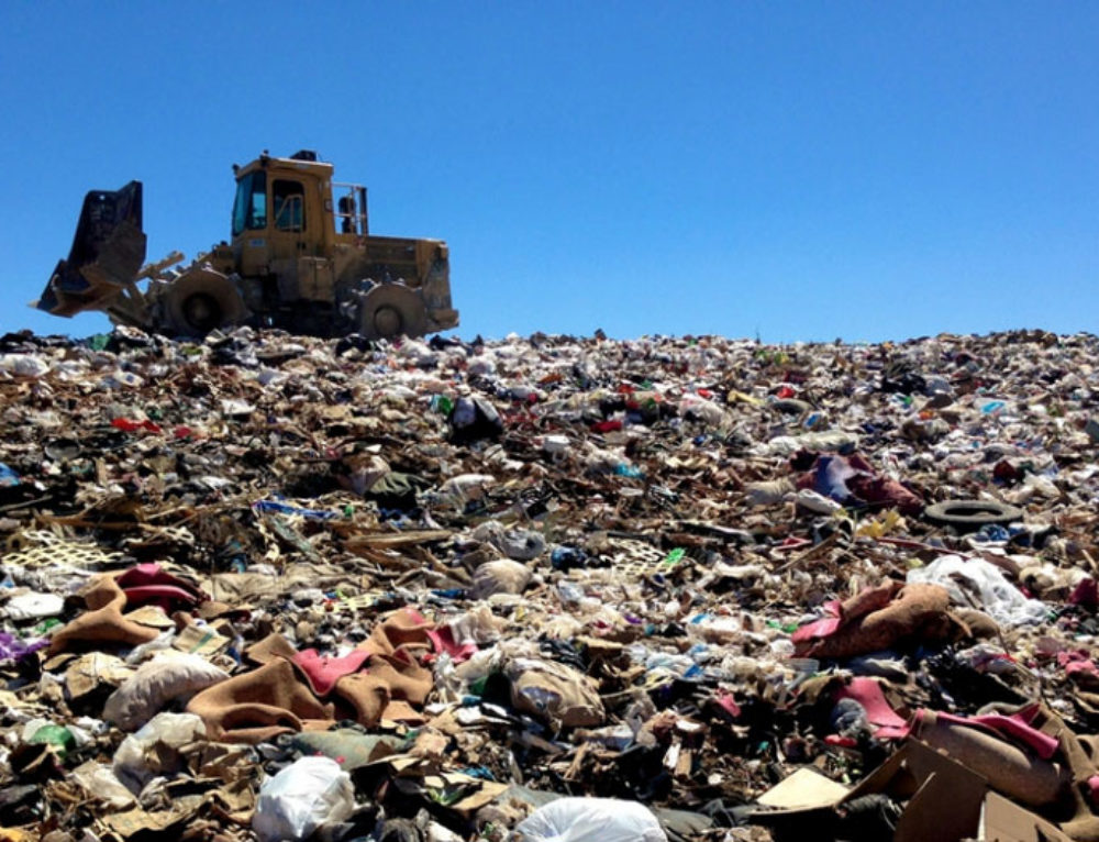 Petaluma Garbage Dump